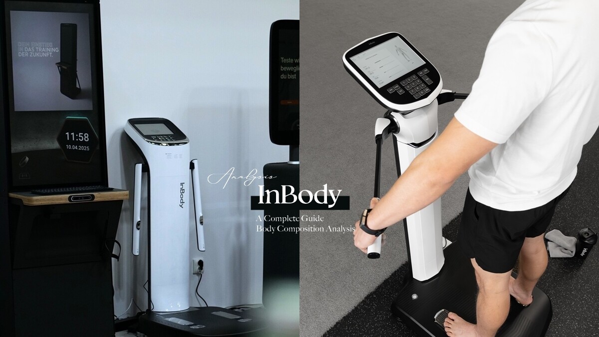 InBody怎麼看？InBody分析完整指南：如何正確解讀身體數據？